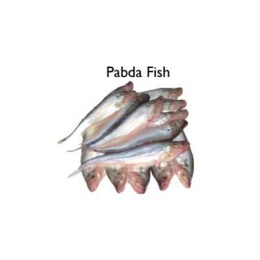 Pabda Fish - 500g (High Quality) - martizo.com